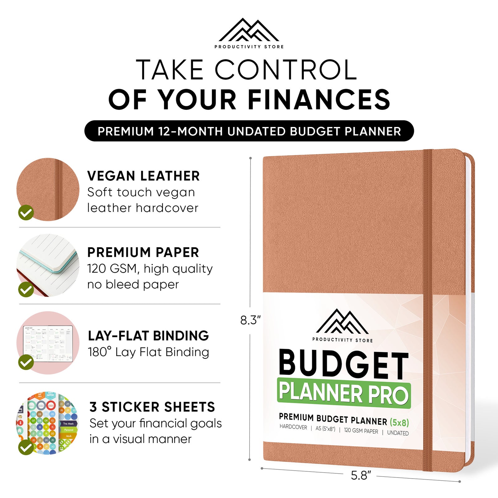 Budget Planner & Budget Book - 12-Month Finance Planner, Monthly Bill ...